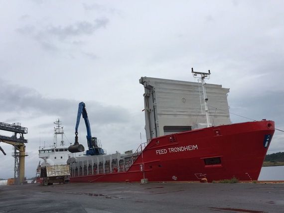 Our fleet | Strand Shipping AS